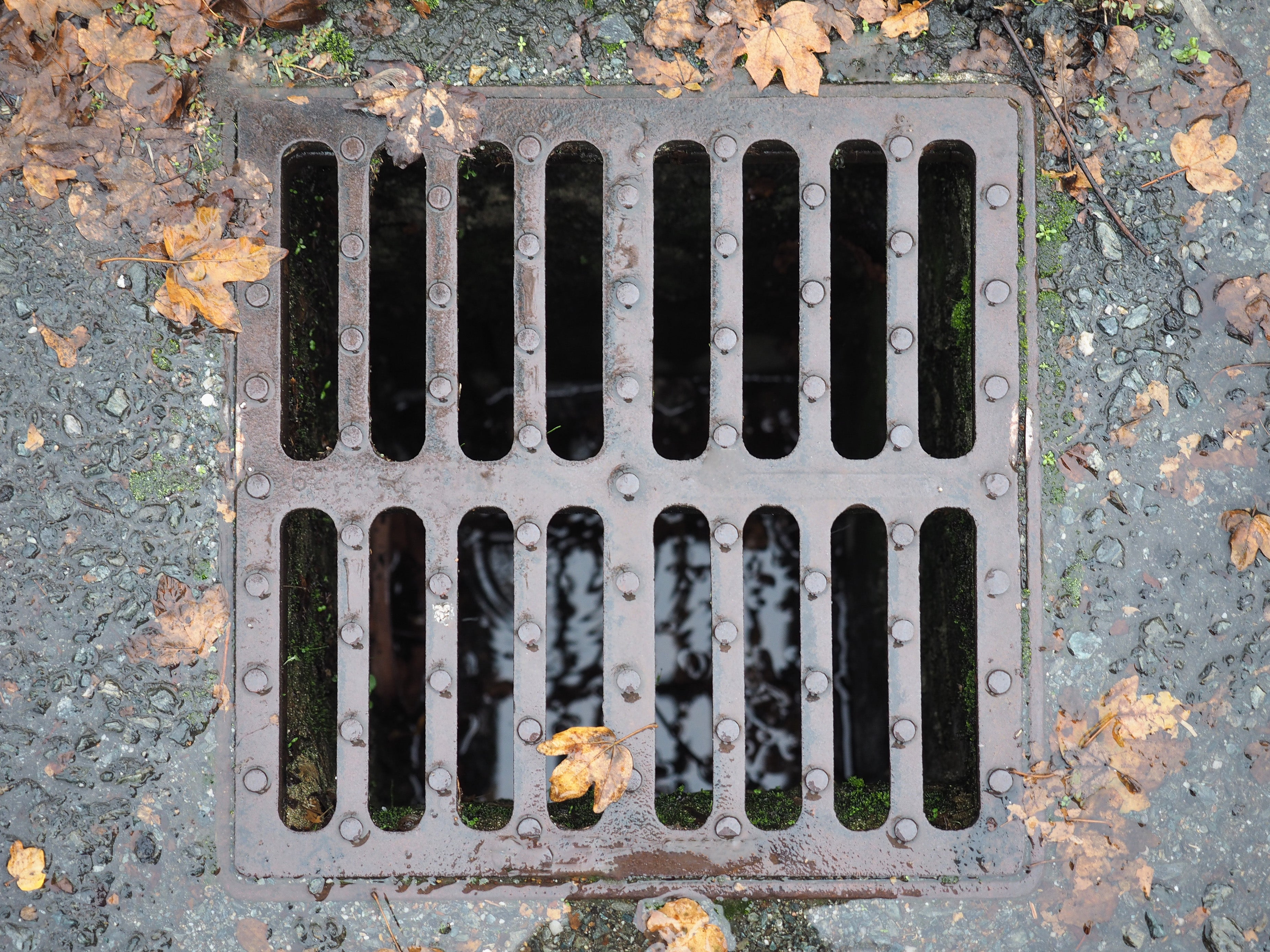 Custom Grates Randwick: Adorning Outdoor Spaces – Ferrum